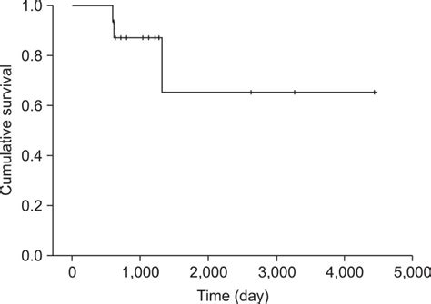 Kaplan Meier Survival Plot For Overall Survival Of 16 Patients Download Scientific Diagram