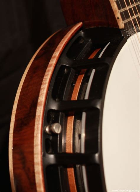 Sold Beautiful Nechville Custom 7 String Banjo One Of A Kind Used