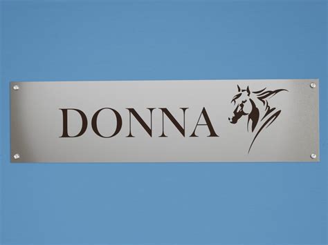 Stainless Steel Door Plate With Graphic 300mm X 80mm Trophy