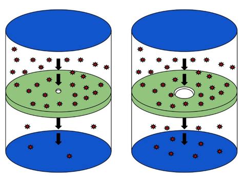 Difference Between Diffusion And Effusion Compare The Difference