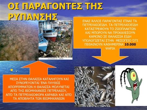 η ρυπανση της μεσογειου 21