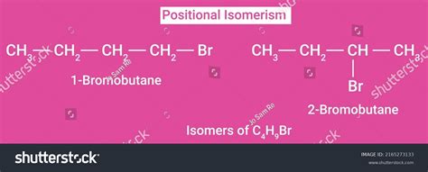 Positional Isomerism Isomers C4h9br Stock Vector Royalty Free