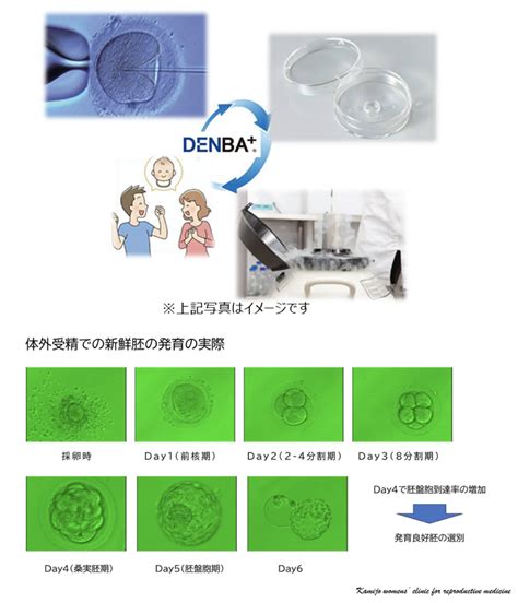 Denbaの技術が不妊治療に新たなソリューションを提供 体外受精胚移植における妊娠および分娩率 生児獲得率 が大幅向上 News Lounge