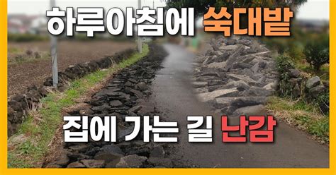 자막뉴스 20년 넘게 사용한 길 쑥대밭시골마을에 무슨 일이
