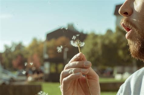 Premium Photo Cropped Image Of Man Blowing Dandelion