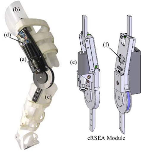 Pdf A Compact Rotary Series Elastic Actuator For Human Assistive