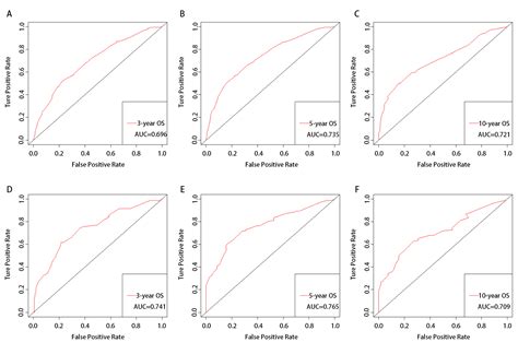 Development And Validation Of Web Based Dynamic Nomograms Predictive Of
