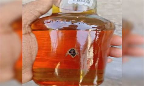 మద్యం సీసాలో బొద్దింక మందుబాబులకు షాక్‌ A Cockroach In A Liquor