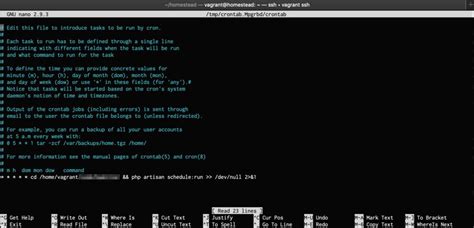 Homestead Laravel Cron