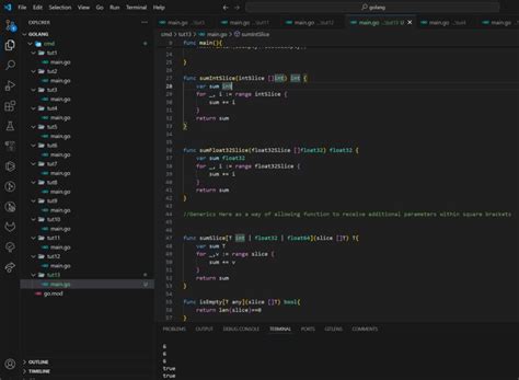 Day12 Golang Learningjourney Programming Coding Learntocode Prateek Priyadarshi