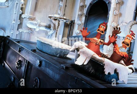 ROCKY GINGER CHICKEN RUN Stock Photo Royalty Free Image Alamy