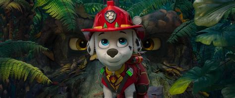 Paw Patrol The Dino Movie First Look At Marshall Moviefone