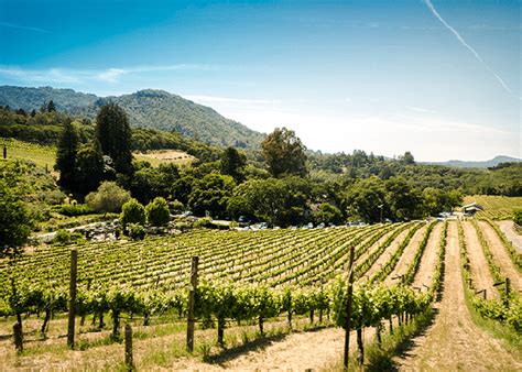 What Area Code Is 707 Get A 707 Phone Number In Sonoma Ringover