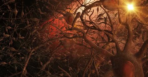 First Ever Recording Of Dying Human Brain Shows Possible Life Recall