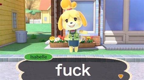 Cursed Image Isabelle Know Your Meme