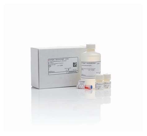 Qubit Rna Br Assay Kit Protocol At Adolfo Scanlan Blog