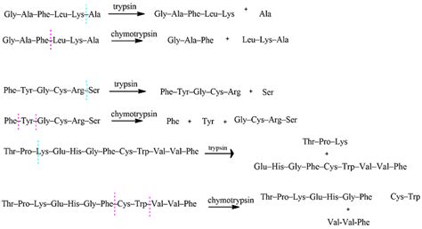 Organic Chemistry 9781260475678 Exercise 20 Quizlet