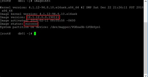 Netsoftmate Technical Blog Step By Step Exadata Compute Node Patching 18c