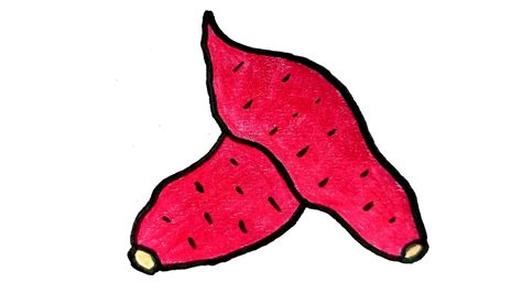 Sweet Potato Drawing