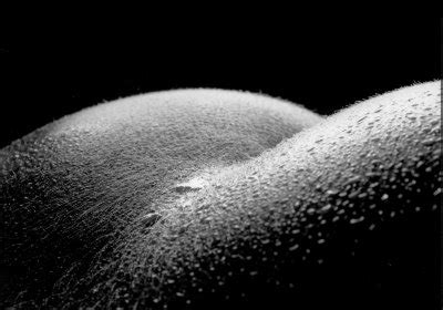 Anus Stuhlentlehrung Und Analsex I Erotik Lexion