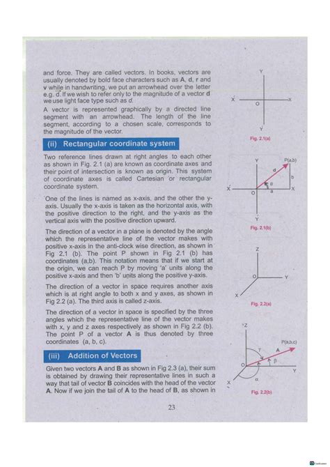 Solution Physics Vectors And Equilibrium Basic Concepts Of Vectors