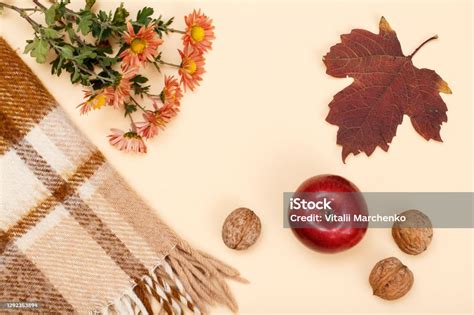 가을 테마 마른 잎 꽃 사과 호두 베이지 색 배경에 격자 무늬 0명에 대한 스톡 사진 및 기타 이미지 0명 가을 건조한