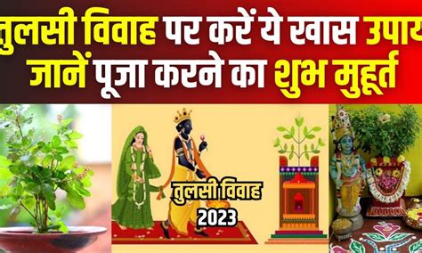 Tulsi Vivah 2023 Tulsi Vivah पर करें ये खास उपाय इसके बराबर मिलेगा फल