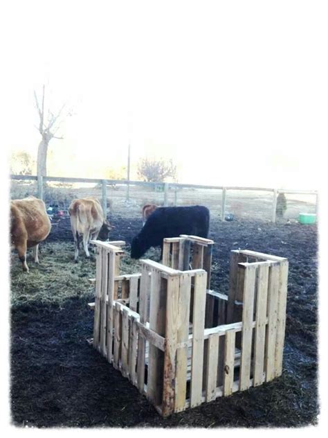 Pallet Hay Feeder For Cows
