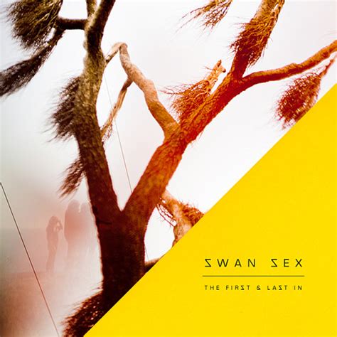 Stream Swan Sex The First And Last In By Random Bastards Listen Online For Free On Soundcloud