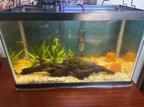 Java Tank Rplantedtank