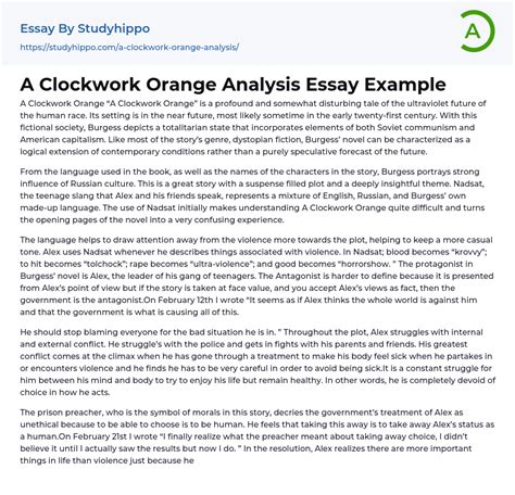 A Clockwork Orange Analysis Essay Example