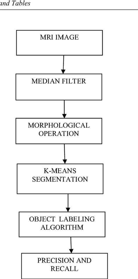 Figure 1 From Detection Of Brain Tumor Using K Means Segmentation Based