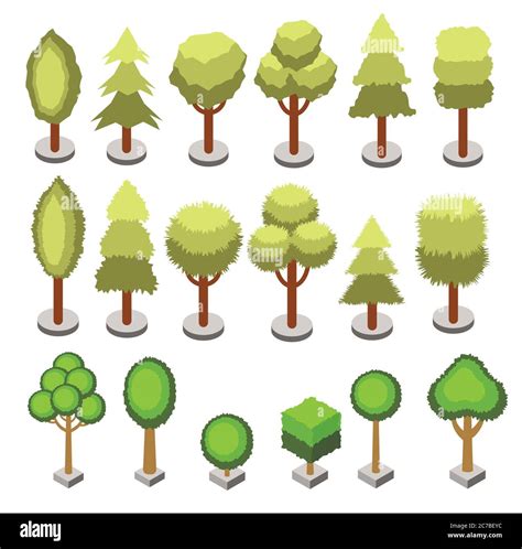 Set Isometric 3d Various Shape Trees Isolated Vector Isometric Tree