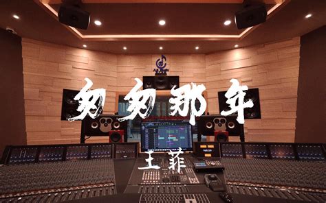 在百万豪装录音棚大声听王菲《匆匆那年》【hi Res】 蛇牙花 国语音乐 哔哩哔哩视频