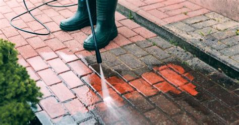 clean block paver joints and pavers why hire a professional