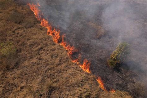 Mudanças Climáticas Para Entender E Informar Portal De Educação Do