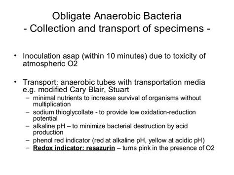 Anaerobic Bacteria