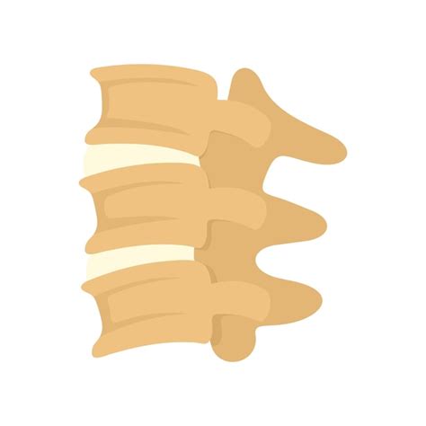 Premium Vector Spinal Column Discs Icon Flat Illustration Of Spinal