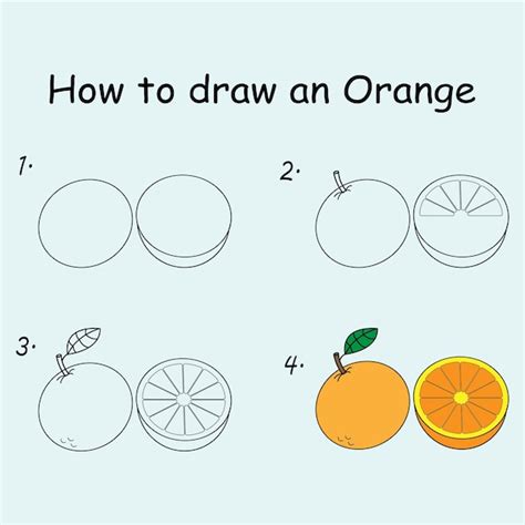 Paso a paso para dibujar un tutorial de dibujo naranja una lección de dibujo naranja para niños