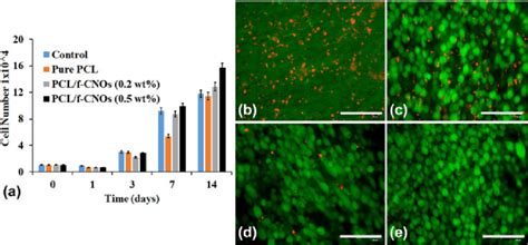 A Cell Viability Of The Tissue Culture Plate Control Neat PCL And
