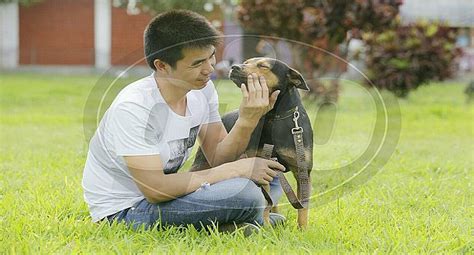Fiscalía Devuelve A Dueño De Chifa Perro Que Le Fue Arrebatado Fotos