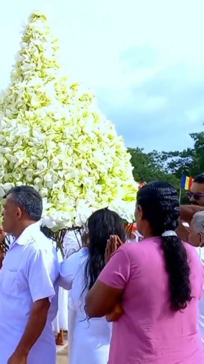මල් චෛත්‍යය🙏 Youtube