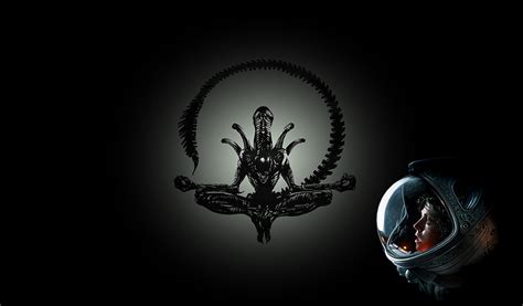 帖子详情—兜风帮