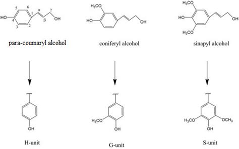 Lignin Monomer