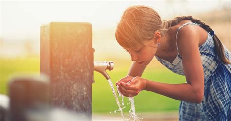 Pfas Contamination Is A Complex Issue While Knowledge About Pfas
