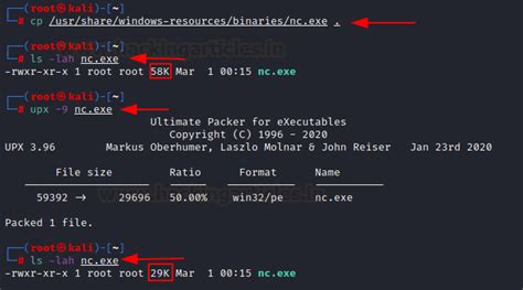 File Transfer Filter Bypass Exe2Hex Penetration Testing