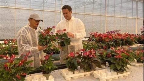 马云归去来阿里农业乡村