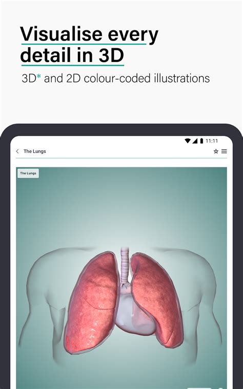 Teach Me Anatomy Apk Para Android Descargar