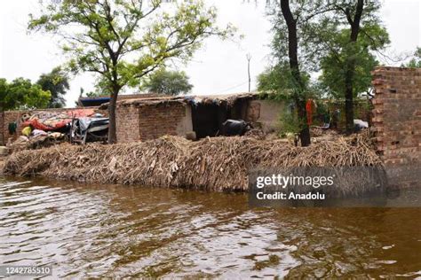 Tando Muhammad Khan District Photos And Premium High Res Pictures Getty Images