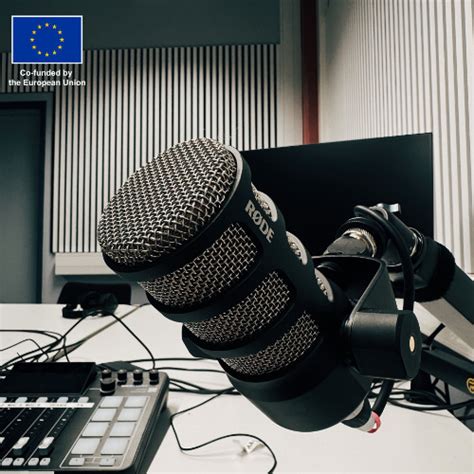 Stream Nordic Podcast Disinformation And Its Role In Radio